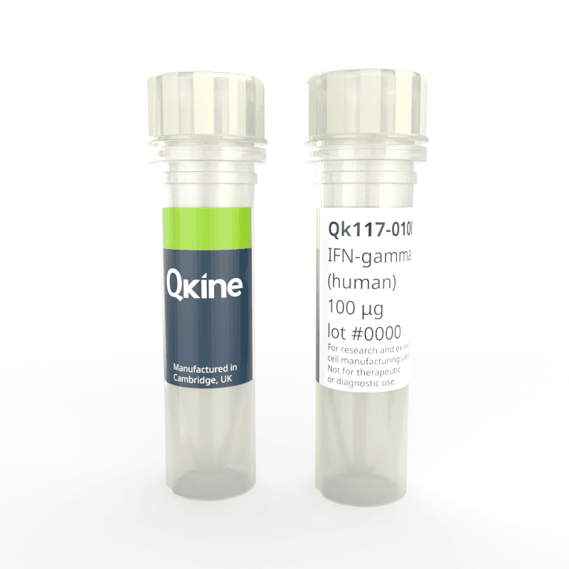 Recombinant IFN-gamma | Animal origin-free | HSCs | Qkine